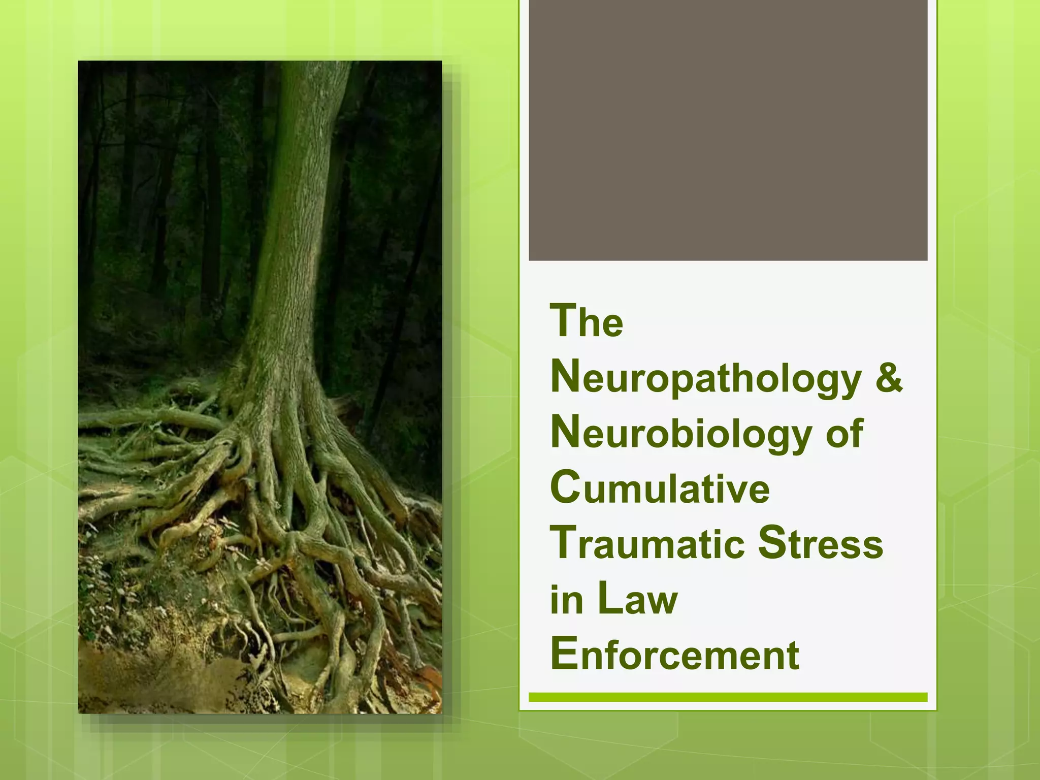 The Neuropathology & Neurobiology of Cumulative Traumatic Stress in Law ...