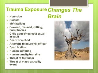 The Neuropathology & Neurobiology of Cumulative Traumatic Stress in Law ...