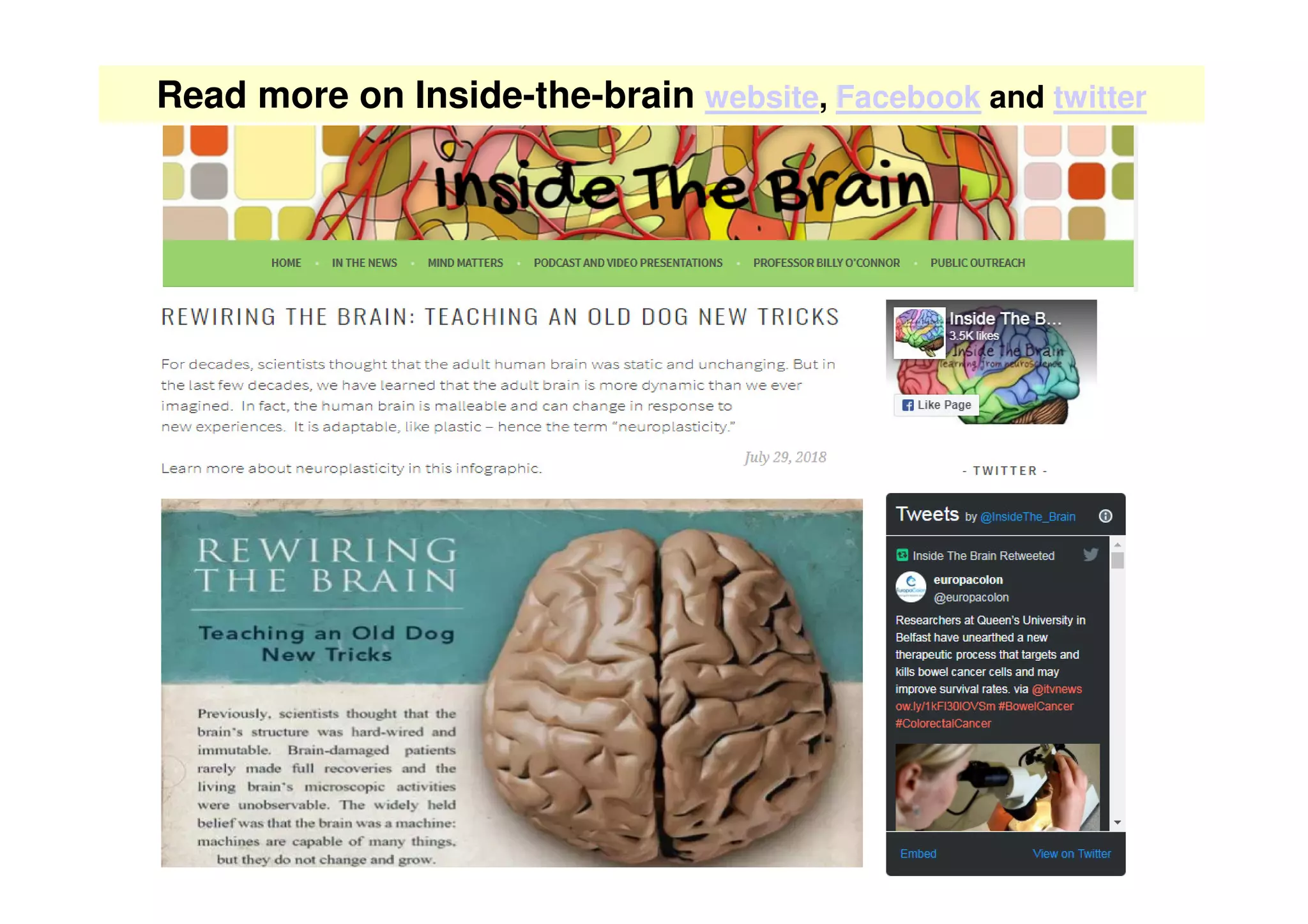 The Neuroscience of Change | PDF