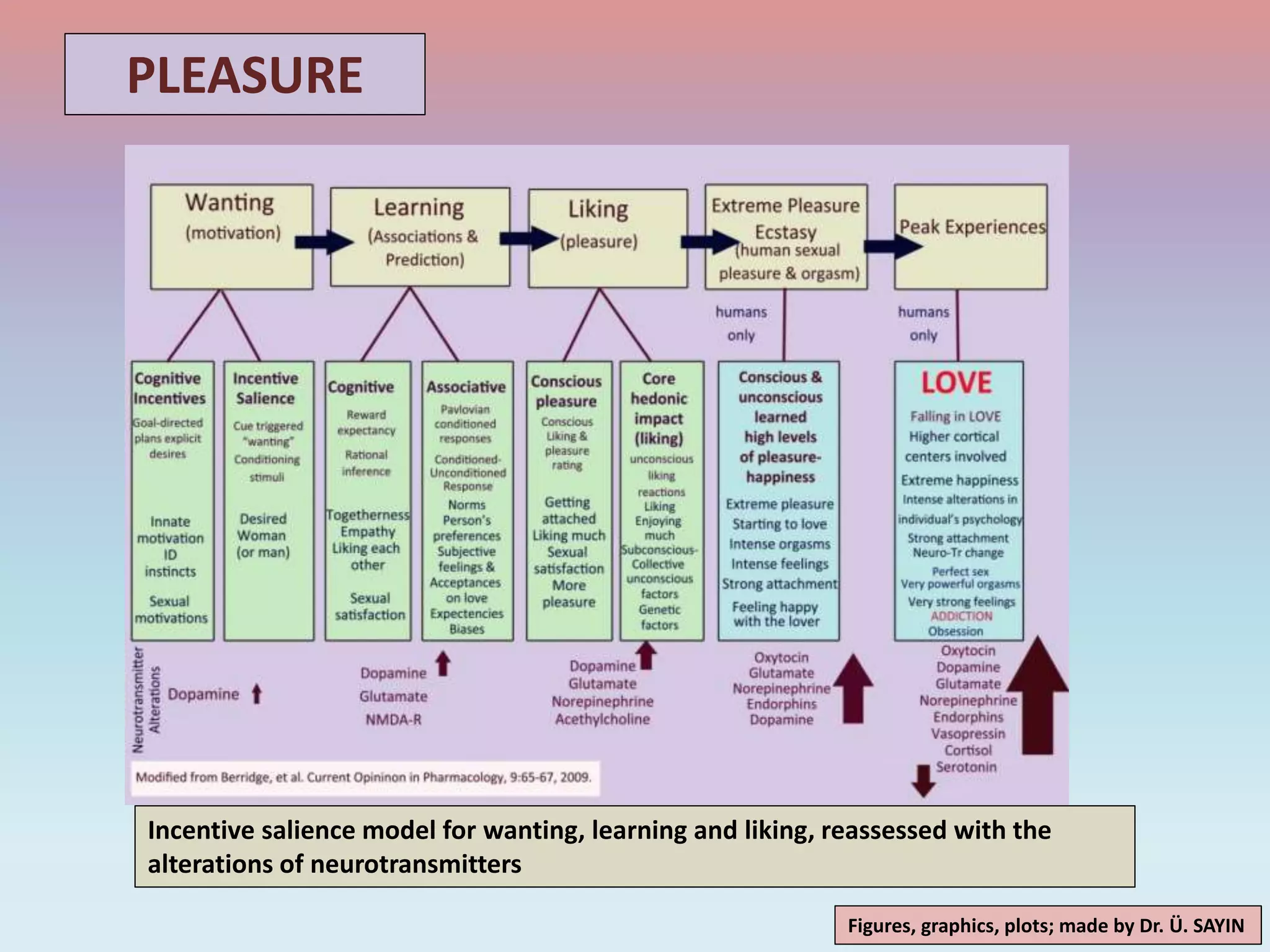 The neuroscience of desire, pleasure, love | PPTX
