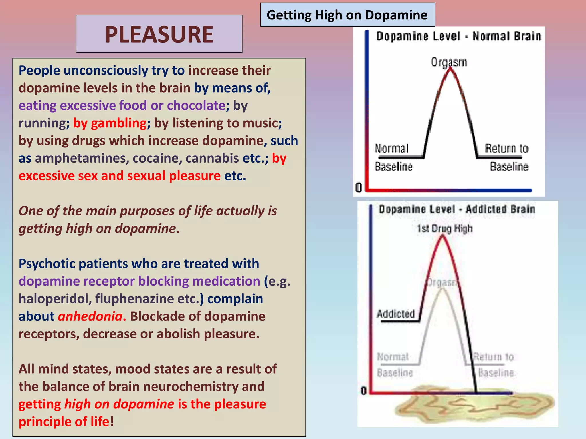 The neuroscience of desire, pleasure, love | PPTX