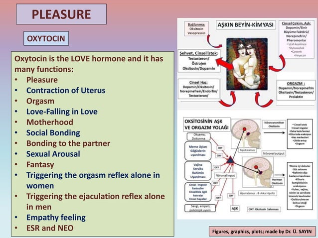 The neuroscience of desire, pleasure, love | PPTX