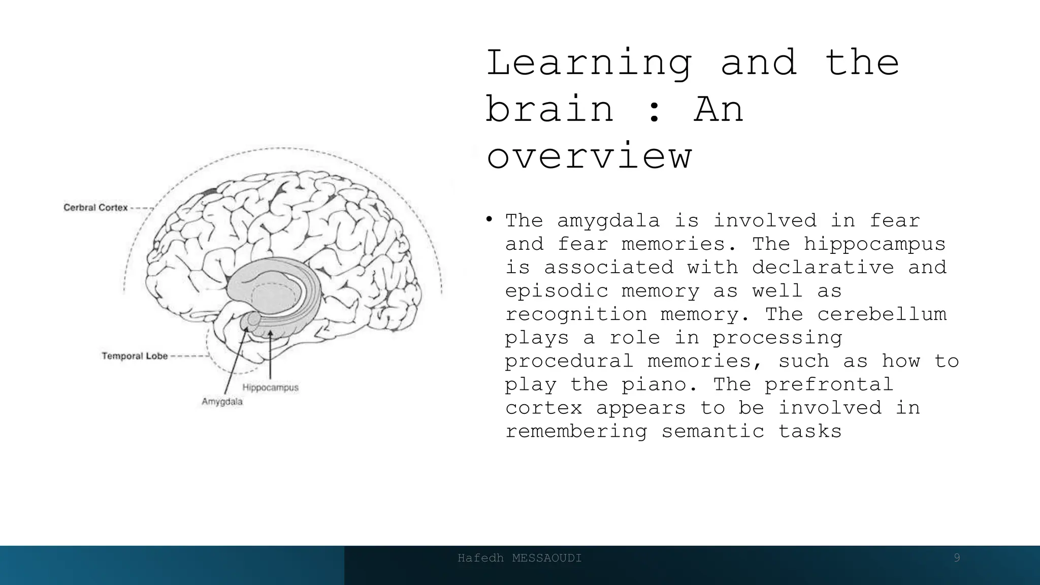 The Neuroscience of Psychological Safety in Learning.pptx