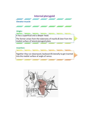 The neutral zone concept in complete denture final | DOCX