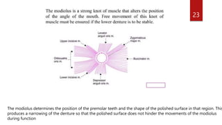 The Neutral zone in complete dentures.pptx
