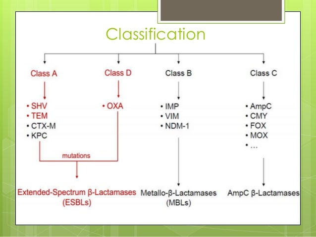 The new β lactamases