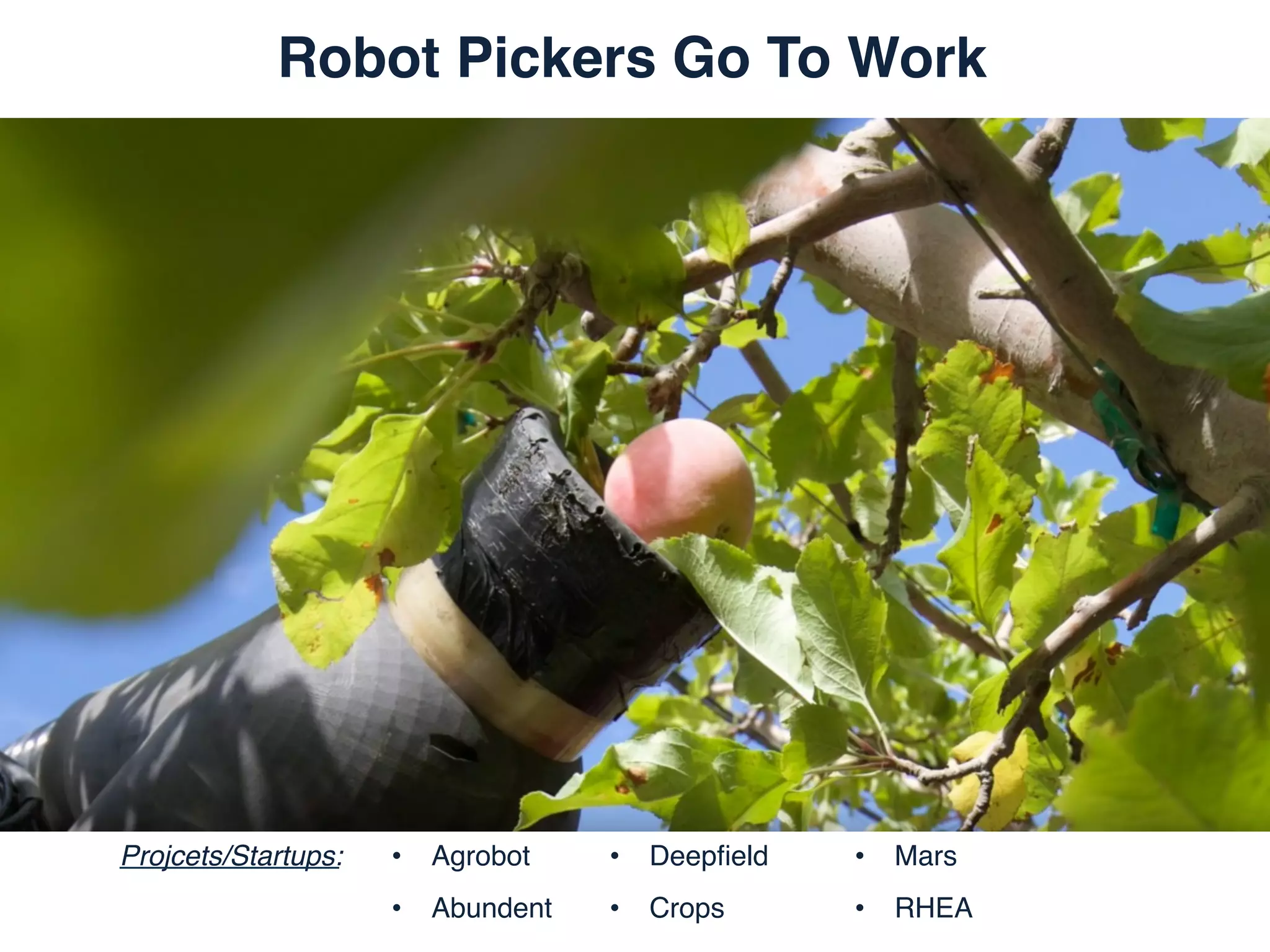 The New Cognitive robolution | PPT