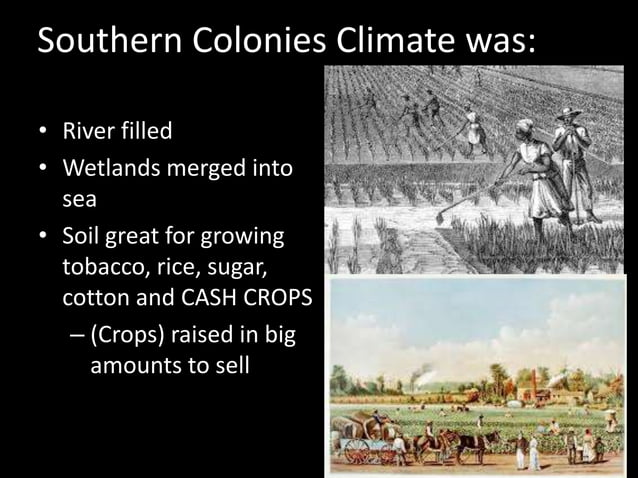 The new england, middle, and southern colonies 3.2 8th grade Ms Vanko ...