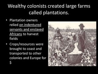 Southern Colonies Crops