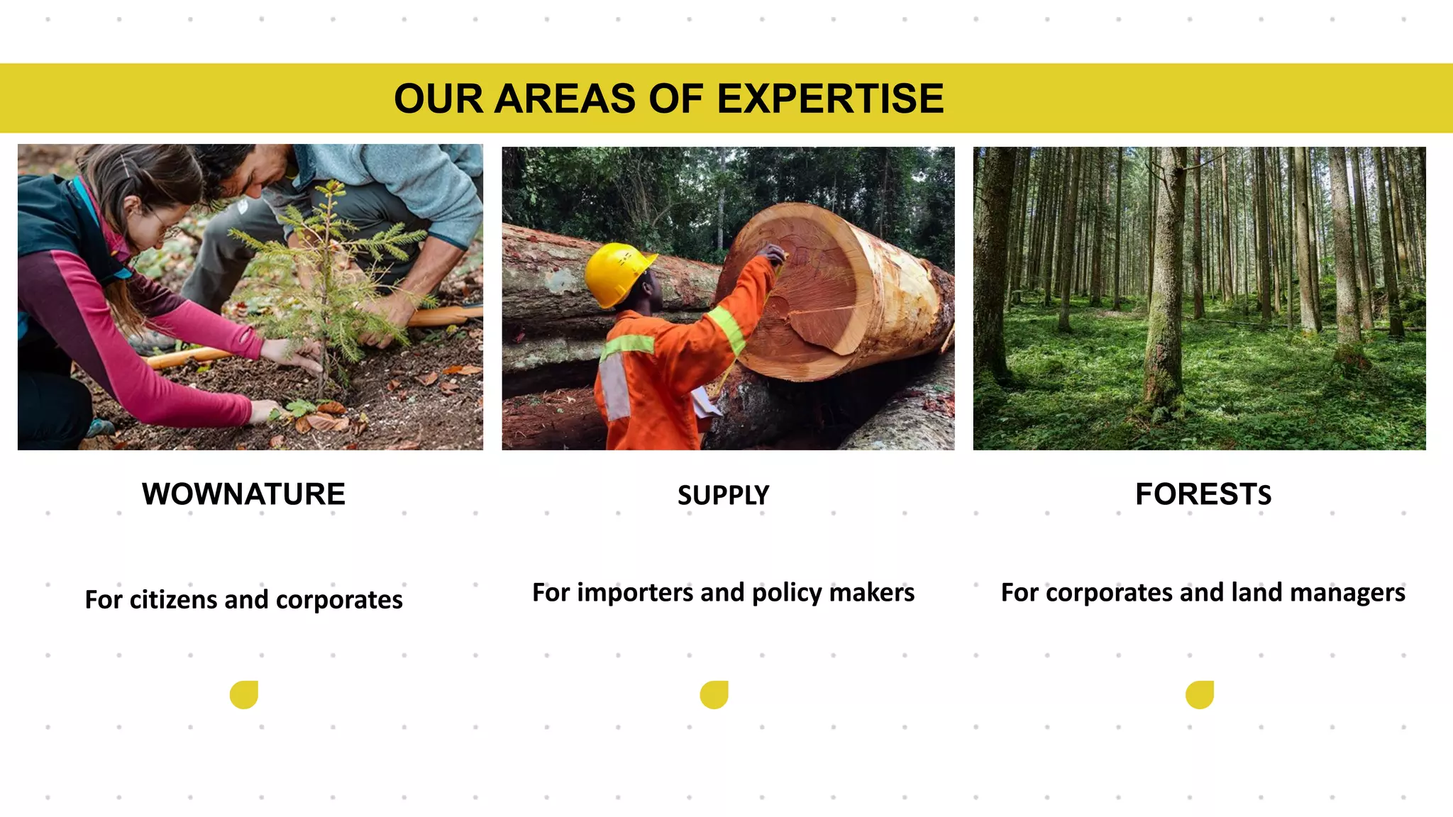 THE NEW EUROPEAN REGULATION ON DEFORESTATION FREE SUPPLY CHAINS ...