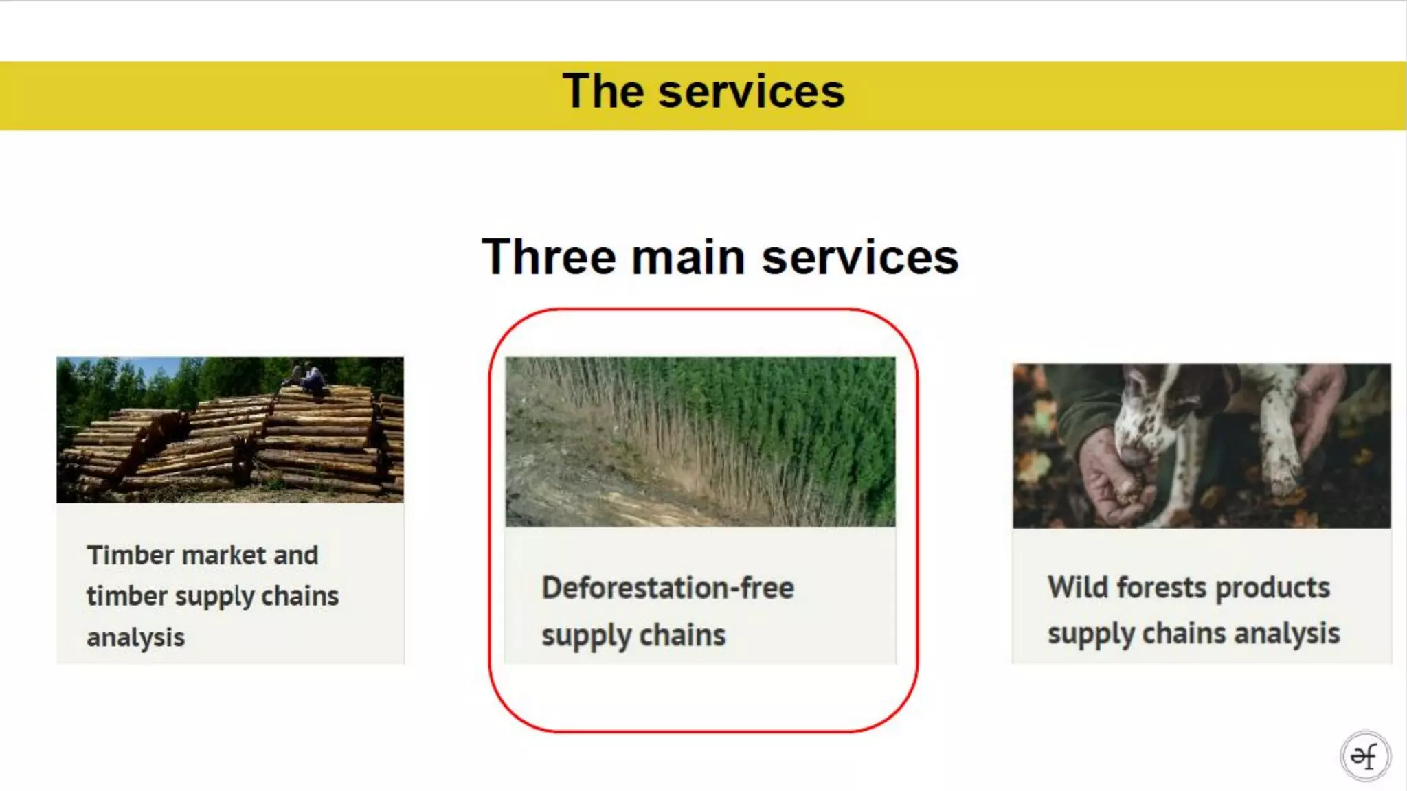 THE NEW EUROPEAN REGULATION ON DEFORESTATION FREE SUPPLY CHAINS | Navigating the new ...