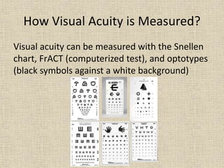 The new eye exam (1) | PPT
