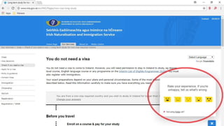 THE NEW INIS WEBSITE: expectations vs reality | PPTX