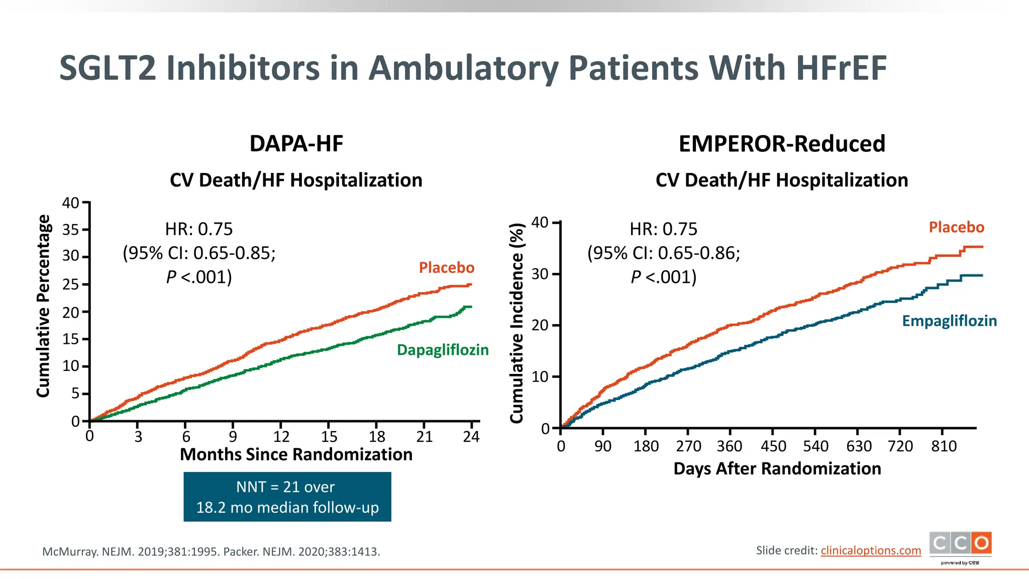 The New Standard of Care__Leveraging the Benefits of SGLT2 Inhibitors ...
