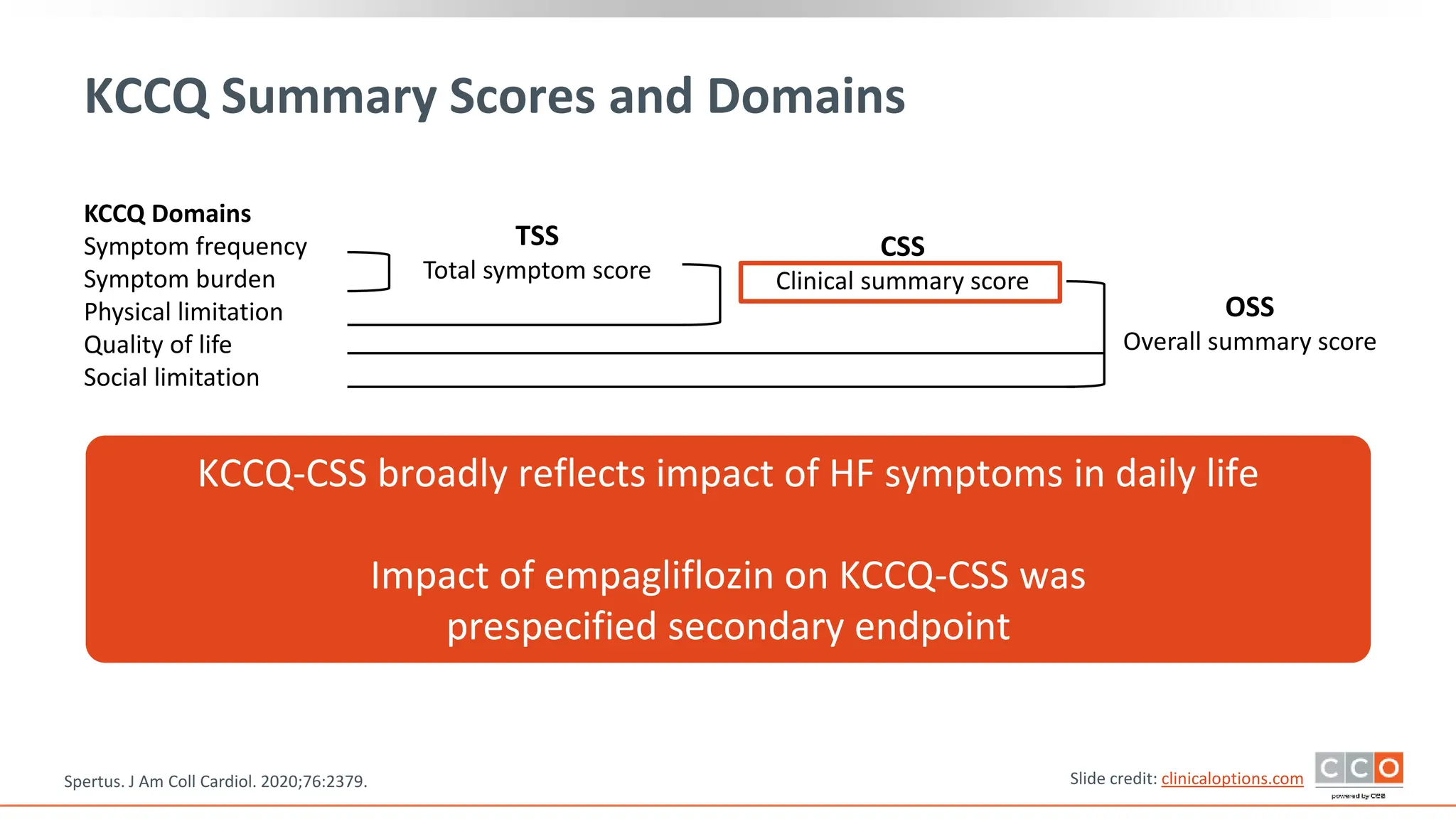 The New Standard of Care__Leveraging the Benefits of SGLT2 Inhibitors ...