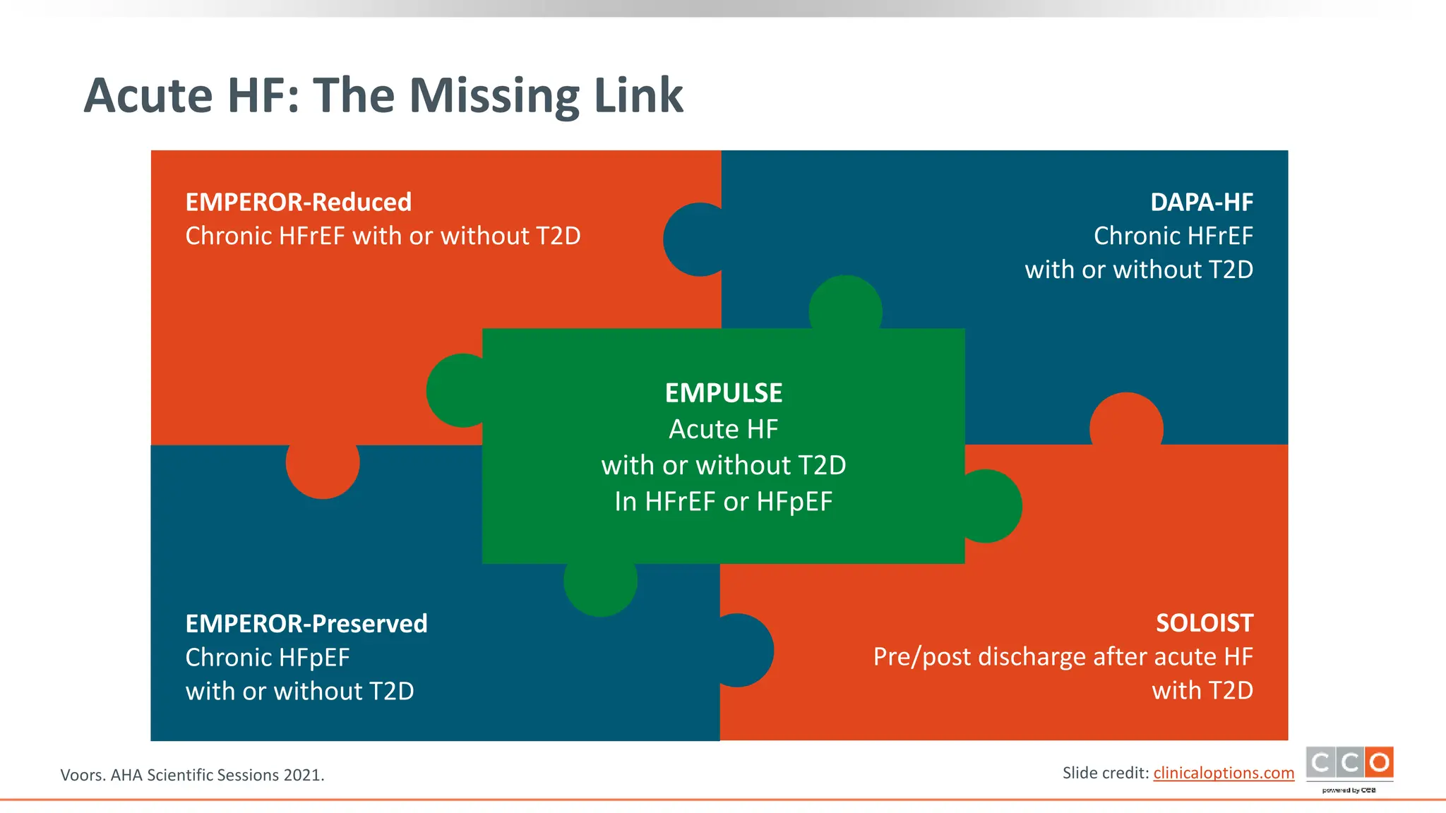The New Standard of Care__Leveraging the Benefits of SGLT2 Inhibitors ...