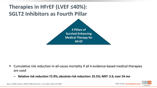 The New Standard of Care__Leveraging the Benefits of SGLT2 Inhibitors ...