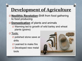 Neolithic Age Farming Tools