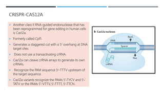 The next generation of crispr–cas technologies and Applications | PPTX