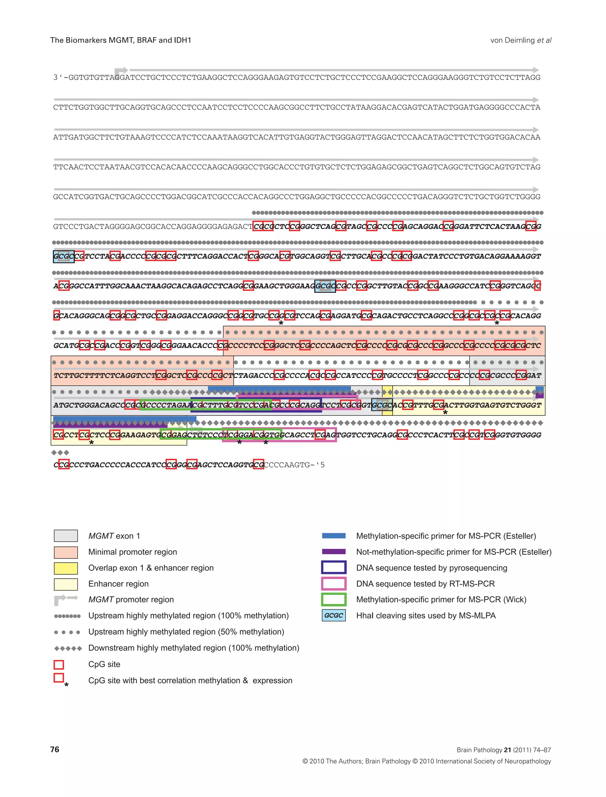 The next generation of glioma biomarkers: MGMT methylation, BRAF fusions and IDH1 mutations. | PDF