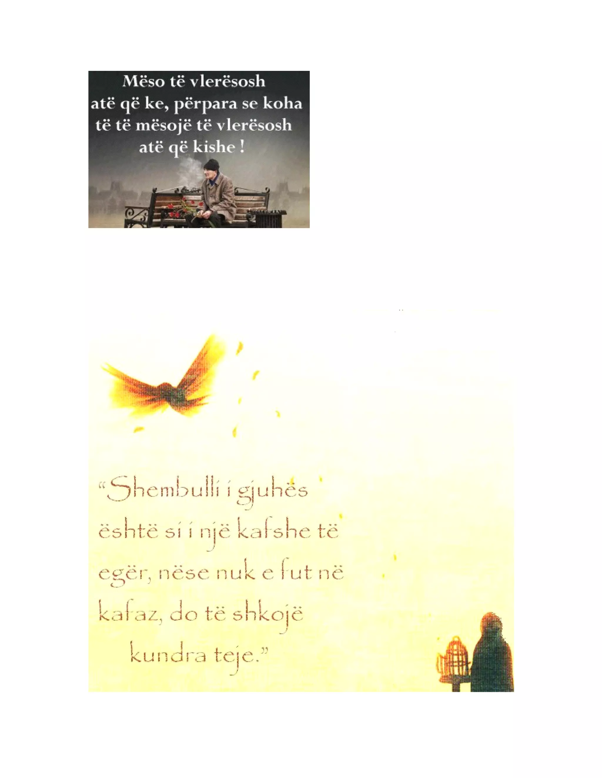 Thenie te pabesueshme por te werteta.pdf1