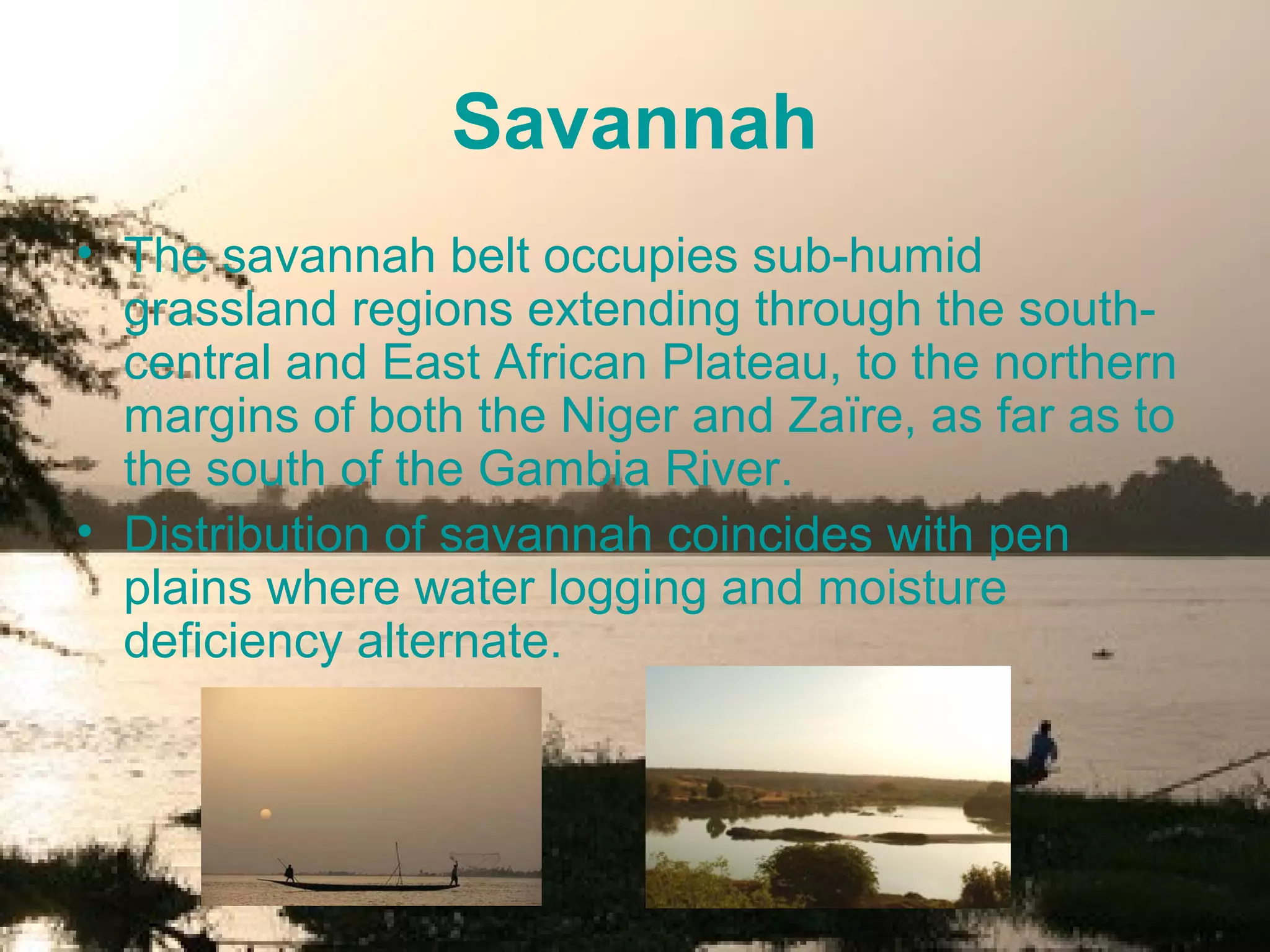 The Niger River and the Growth of Ghana and Mali Empires | PPT