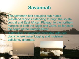 The Niger River and the Growth of Ghana and Mali Empires | PPT