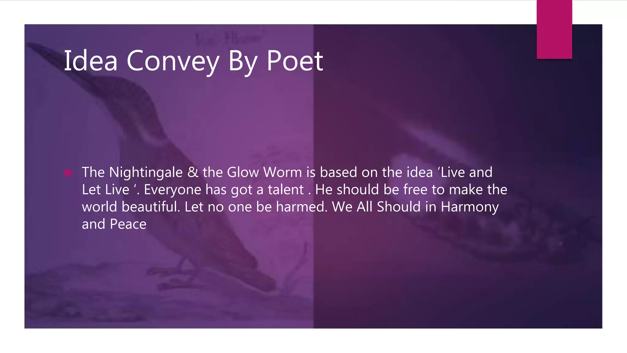 The Nightingale & The Glow Worm | PPTX