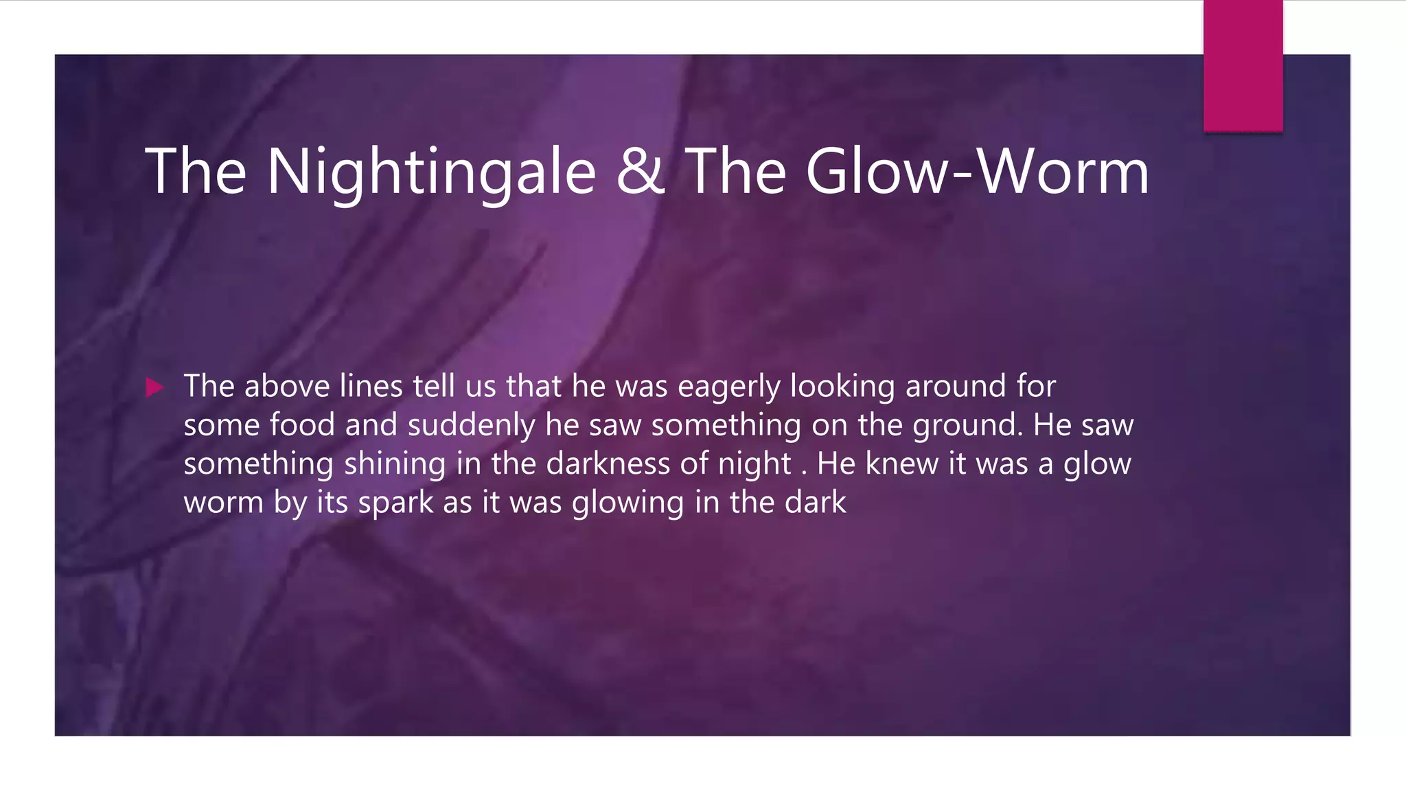 The Nightingale & The Glow Worm | PPTX