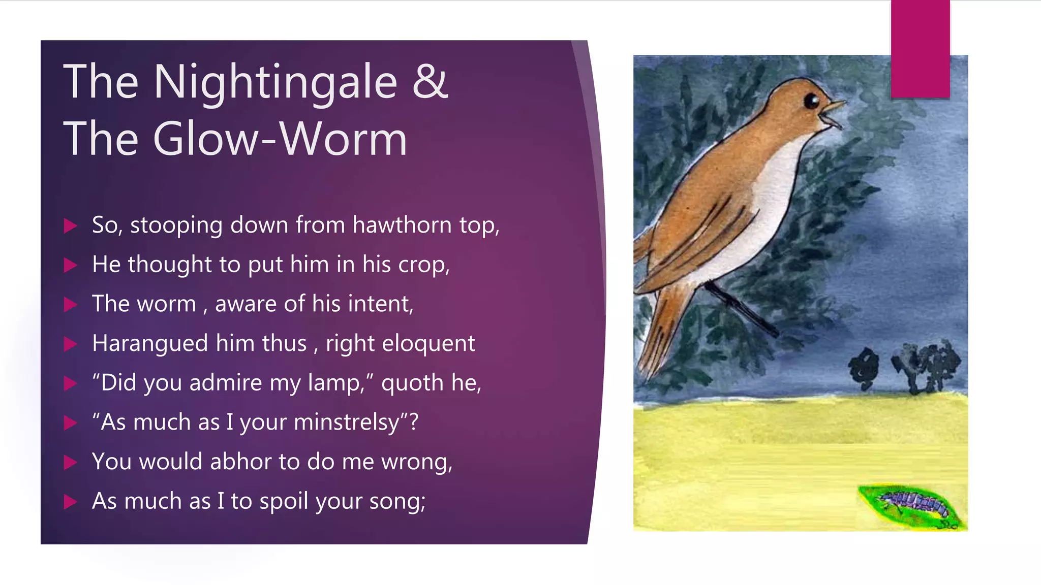 The Nightingale & The Glow Worm | PPTX