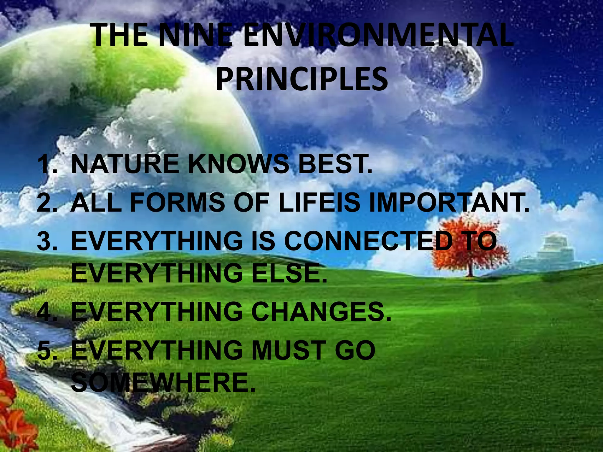 The nine environmental principles | PPTX