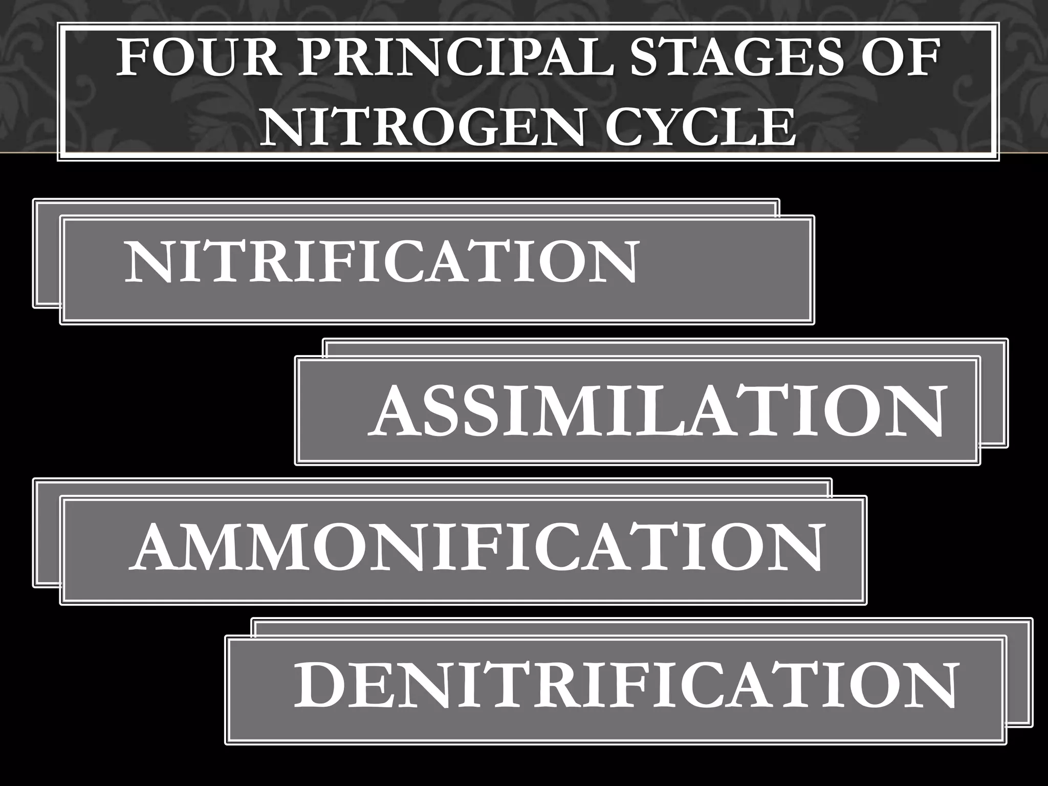 The Nitrogen Cycle | PPT