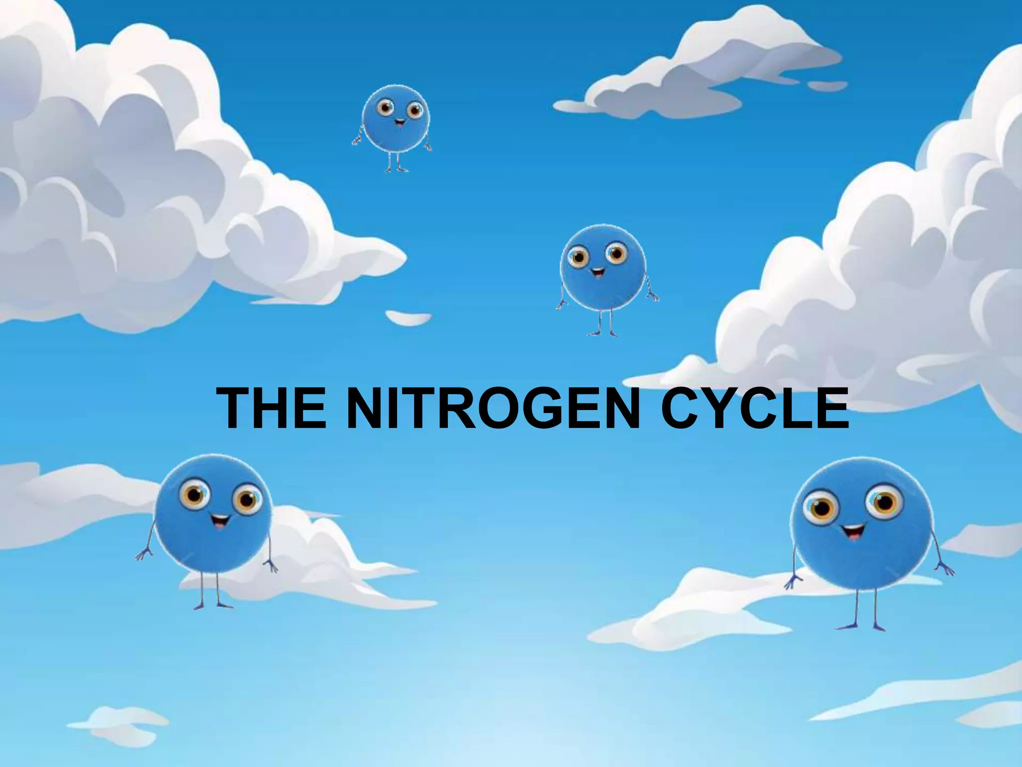 The Nitrogen Cycle | PPT