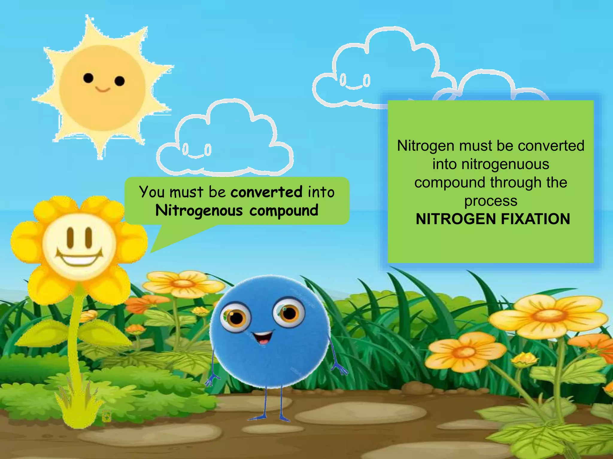The Nitrogen Cycle | PPT