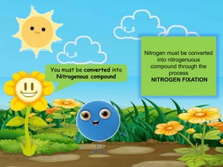 The Nitrogen Cycle | PPT