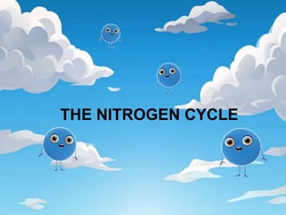 Nitrogen Cycle For Kids Animation