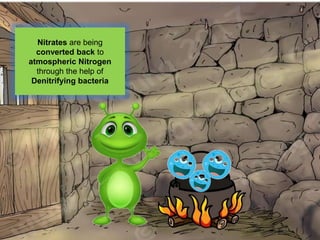 Nitrogen Cycle For Kids Animation