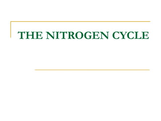 THE NITROGEN CYCLE for highschool student | PPT