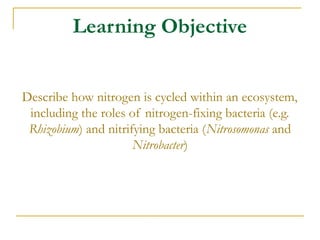THE NITROGEN CYCLE for highschool student | PPTX