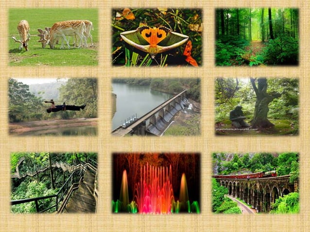 Thenmala Ecotourism Project | PPTX | Travel Locations | Travel