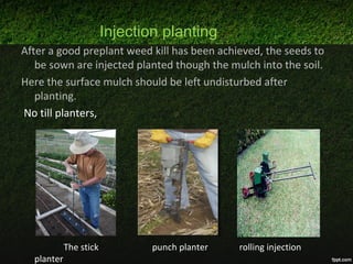 The no till farming | PPT