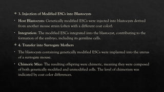 The Nobel Prize in Physiology or Medicine 2007.pptx