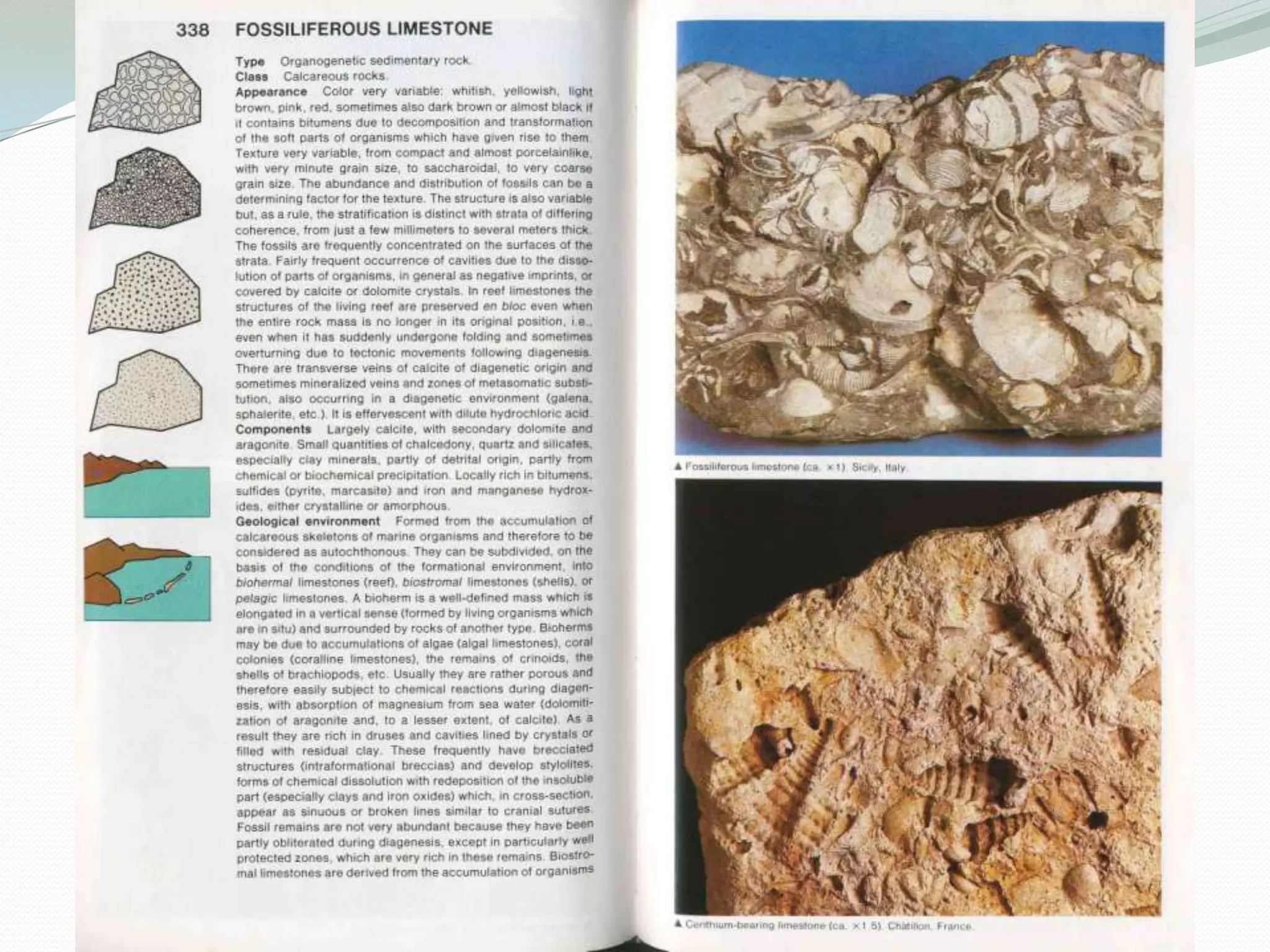 The non clastic sedimentary minerals | PPTX