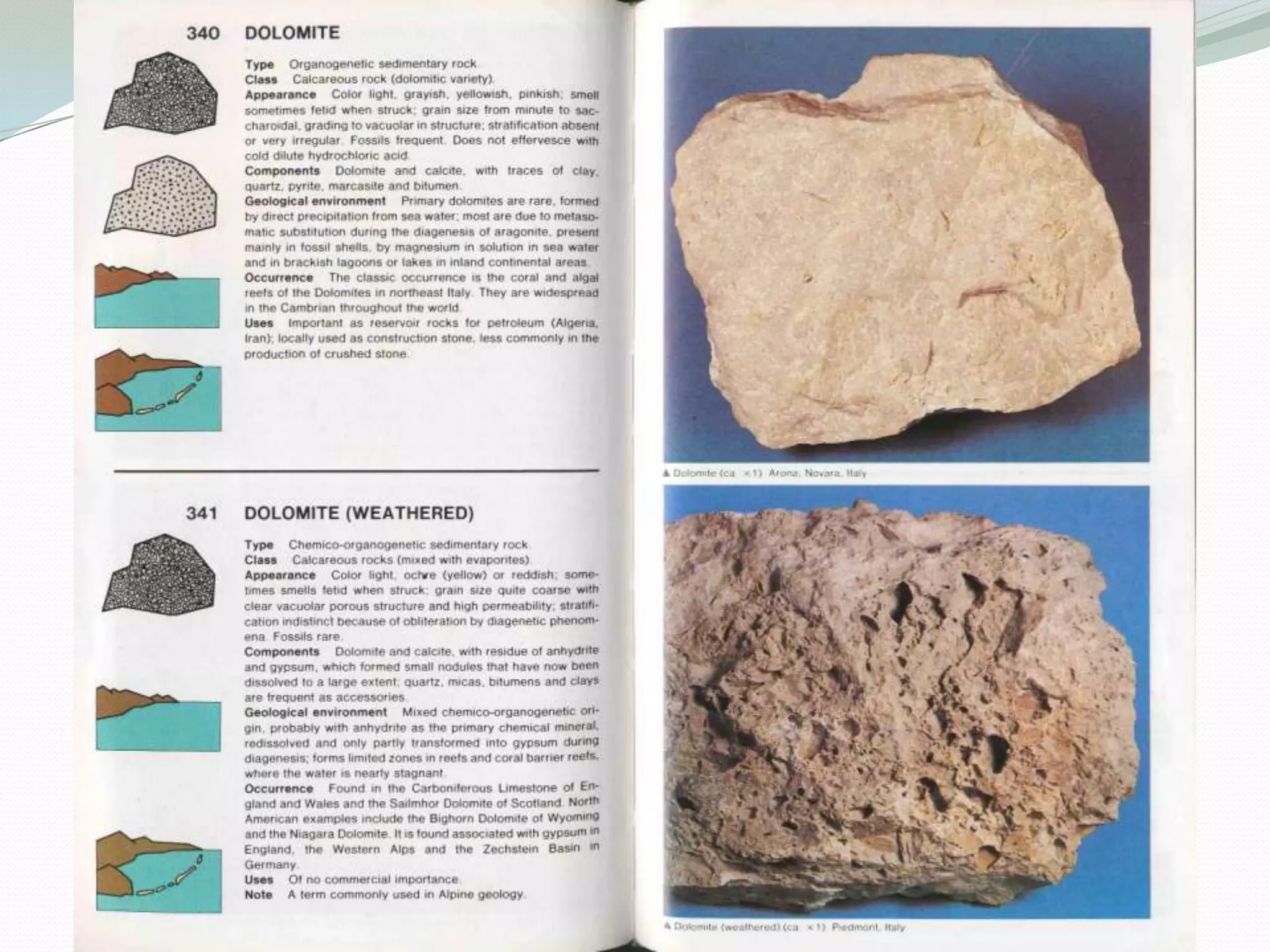 The non clastic sedimentary minerals | PPTX