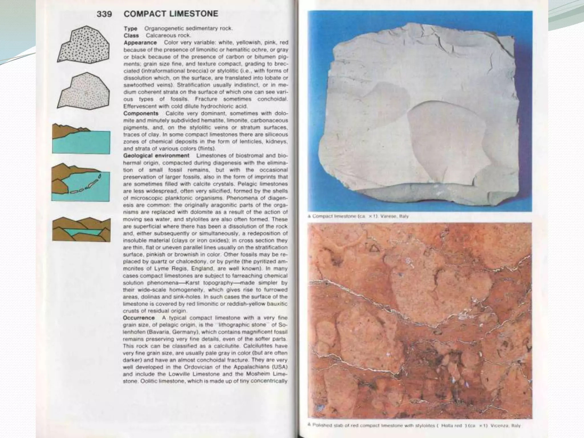 The non clastic sedimentary minerals | PPTX