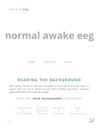 The normal awake eeg and how to under .. | PDF | Brain and Nervous ...