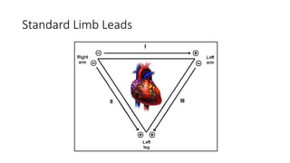 The Normal Conduction Systemuuuuu (1).pptx