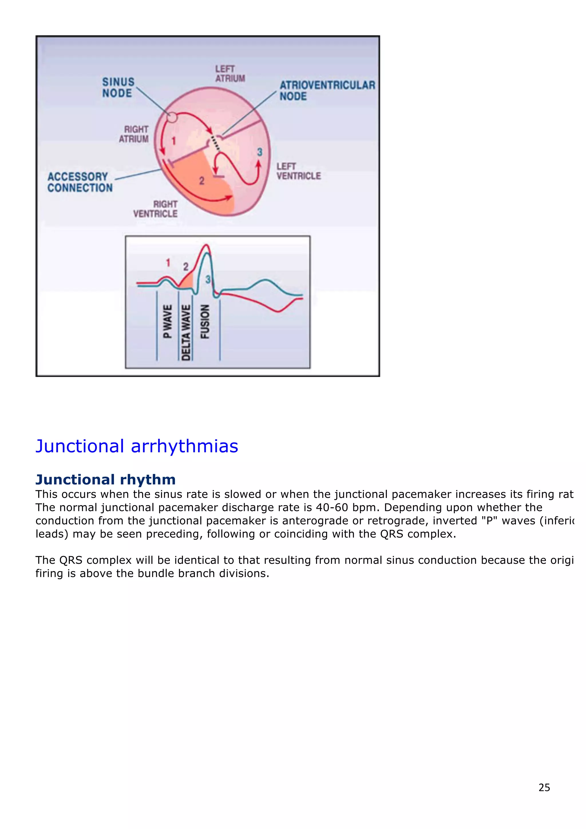 The normal ecg and the 12 | PDF