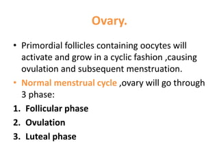 The normal menstrual cycle | PPTX