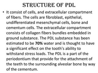 PDL, Cementum & Alveolar Bone | PPTX